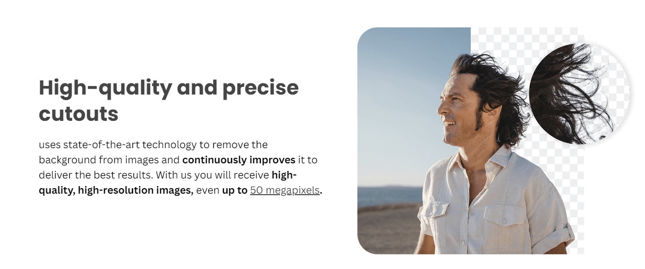 AI Background Removal (Best Quality) rapidapi.com api & spicy-laika-spicy-laika-default AI ...